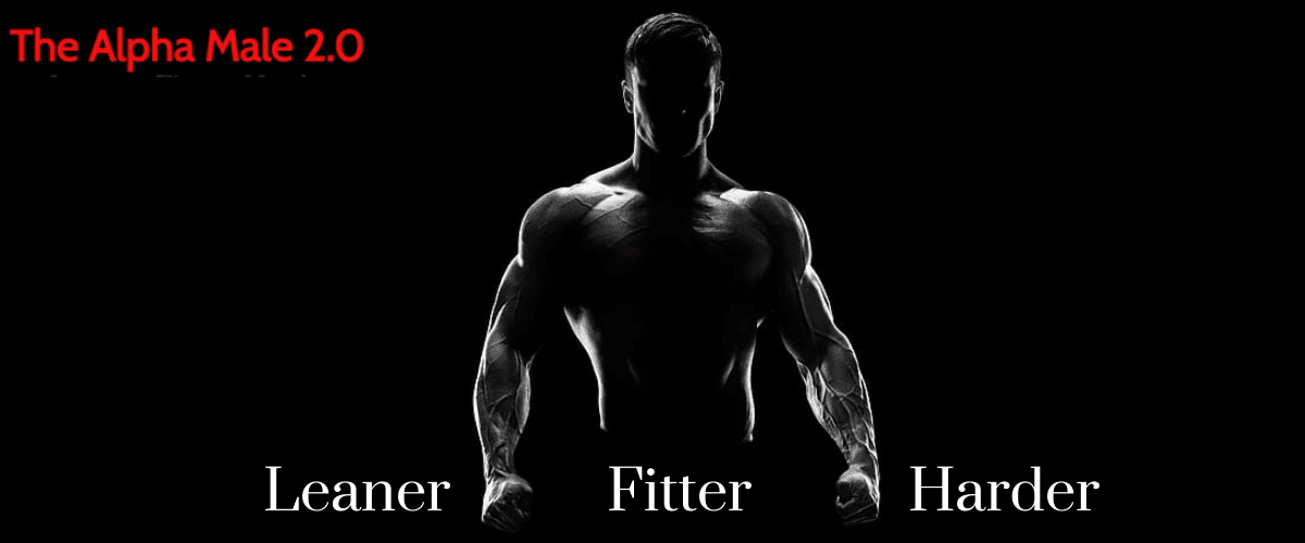The Alpha Male 2.0! Man Guide To A Leaner- Fitter - Harder You In 2022